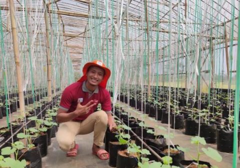 Lulus sebagai Sarjana Pertanian di Bidang Agroekoteknologi, Yanu ...